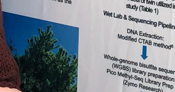 Katie D'Amico wins 2nd place in doctoral poster competition ...